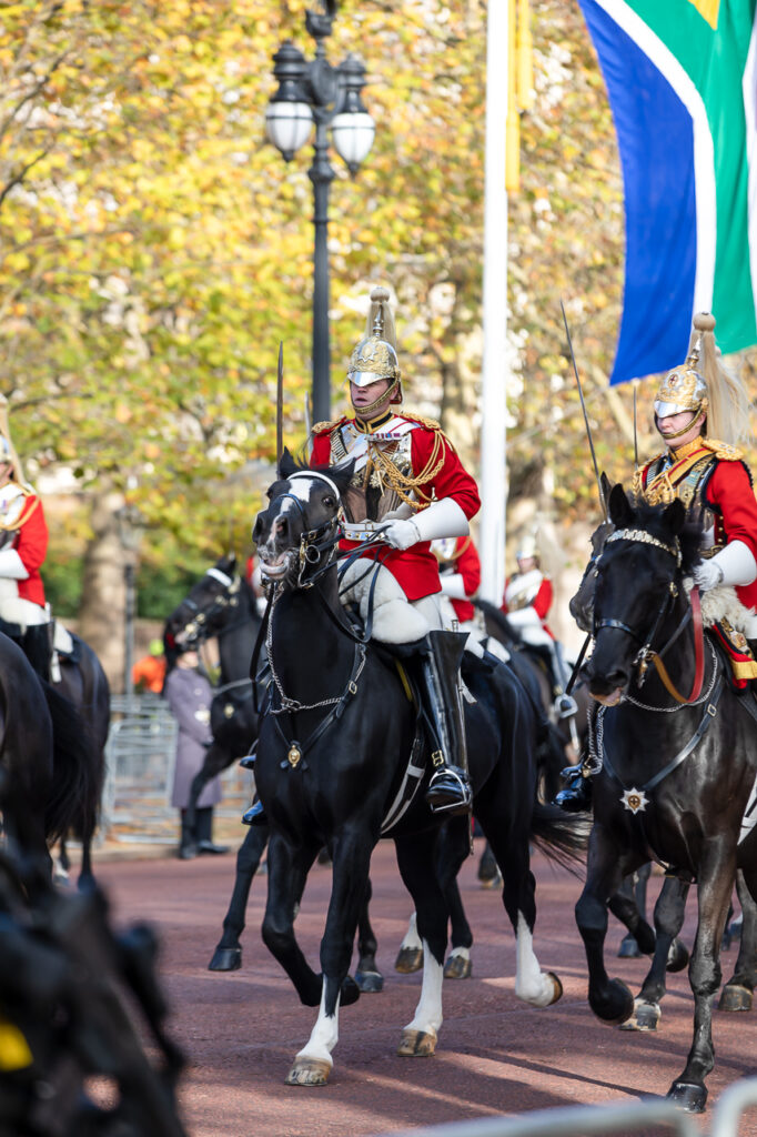 Galleries - The Flag Consultancy