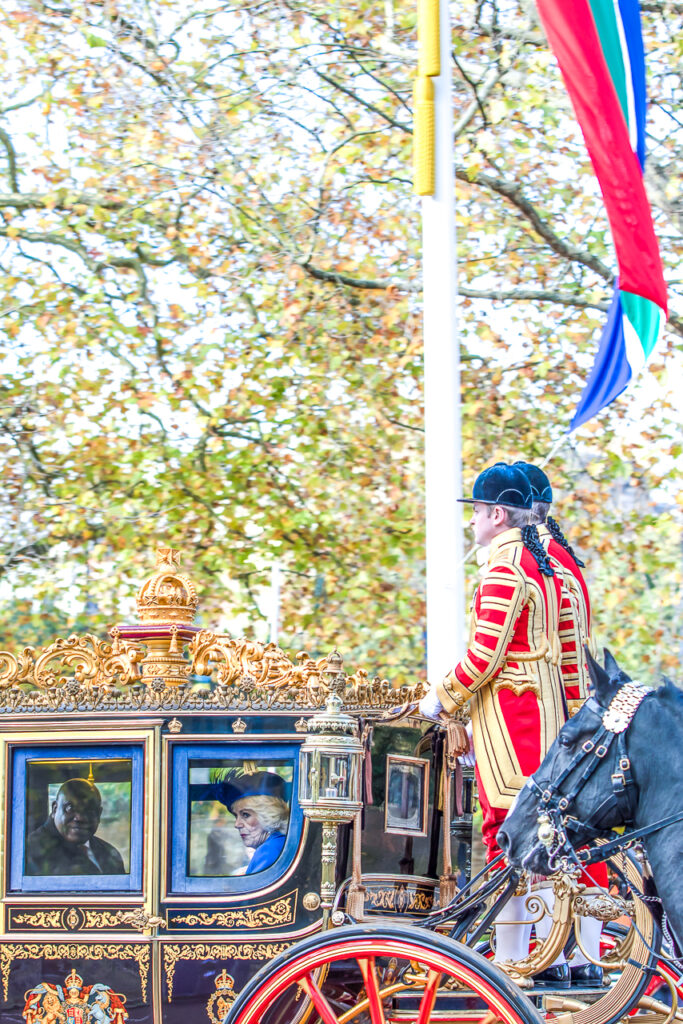 Galleries - The Flag Consultancy