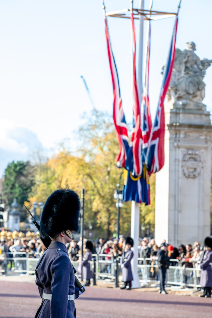 Galleries - The Flag Consultancy