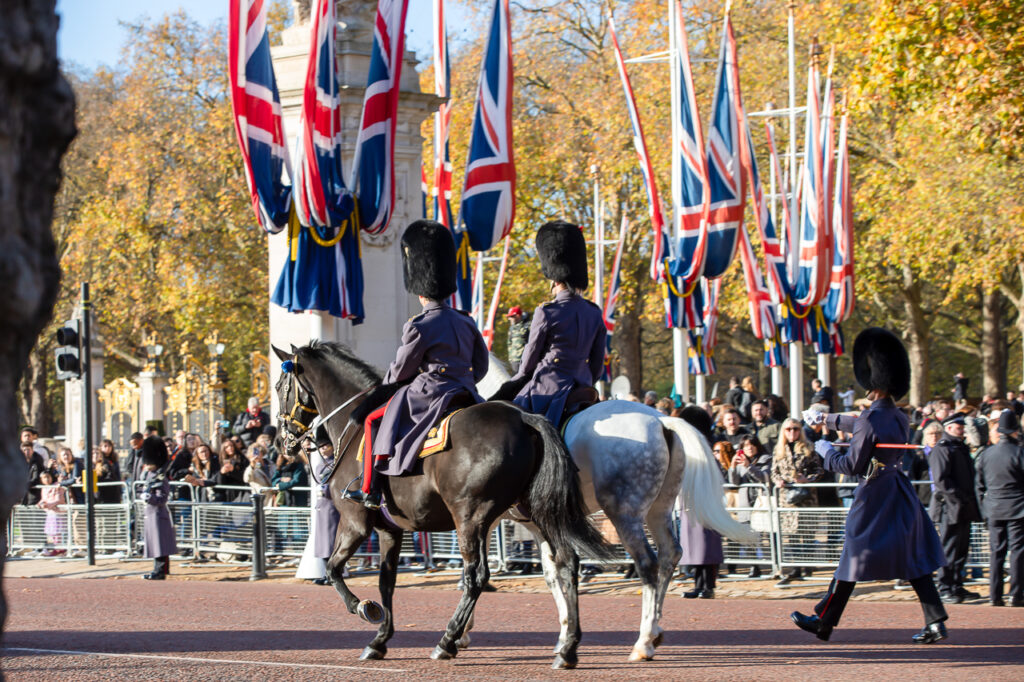 Galleries - The Flag Consultancy