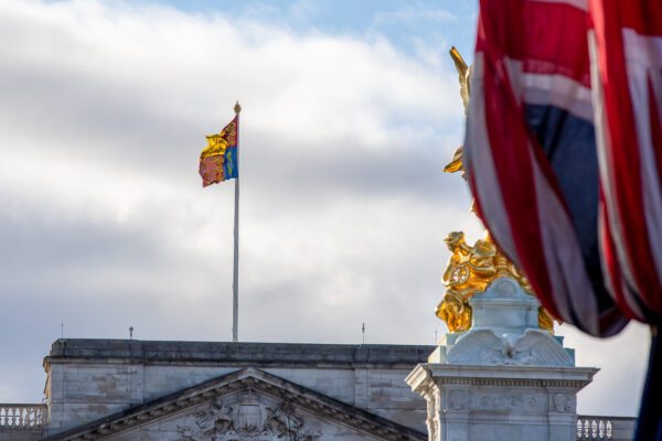 Galleries - The Flag Consultancy