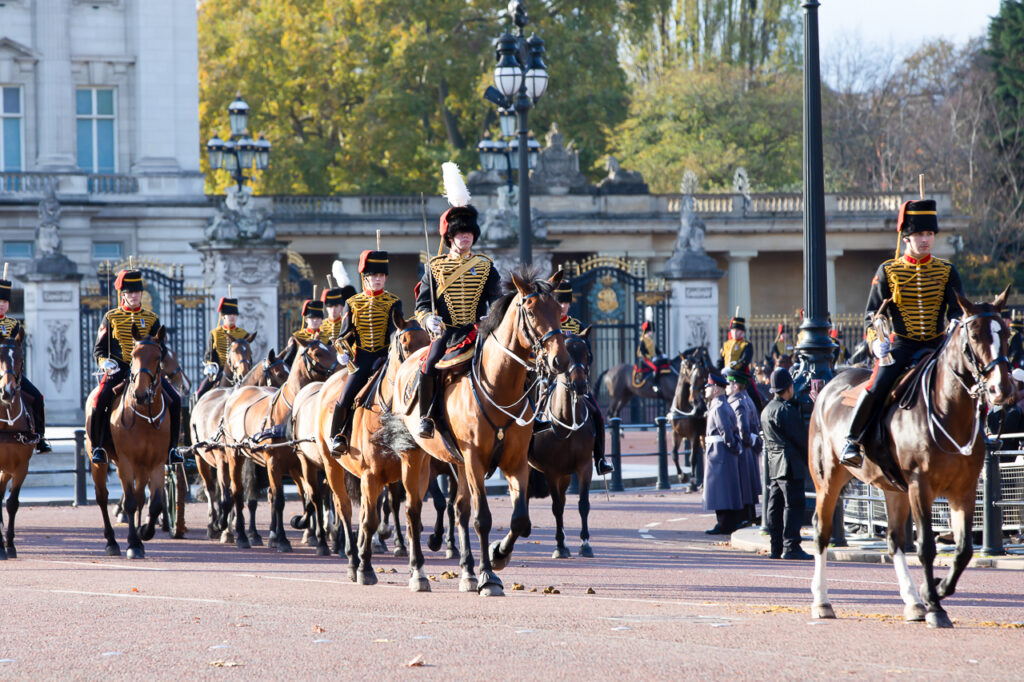 Galleries - The Flag Consultancy