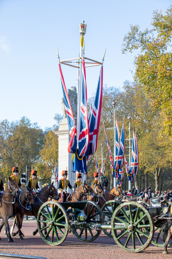 Galleries - The Flag Consultancy